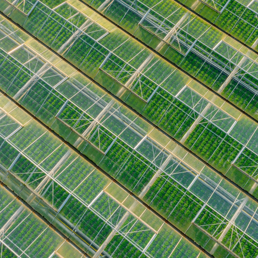 Data Storage Platforms | Data Infrastructure Storage | Data ...