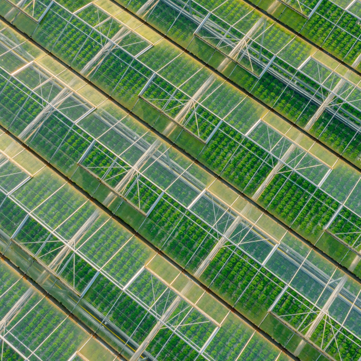 Data Storage Platforms | Data Infrastructure Storage | Data ...